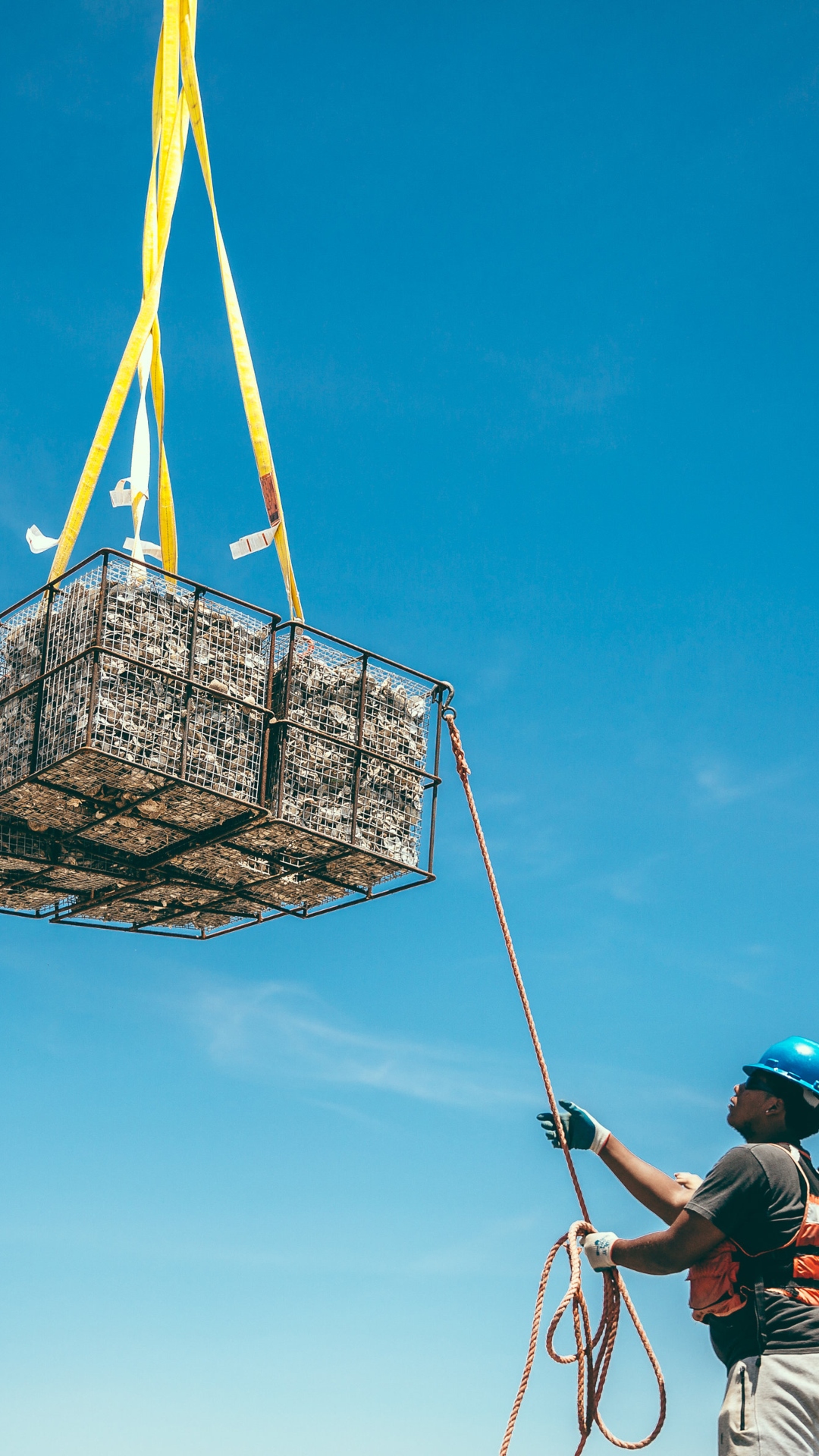 New York Harbor's Ecosystem Engineers | YETI Stories