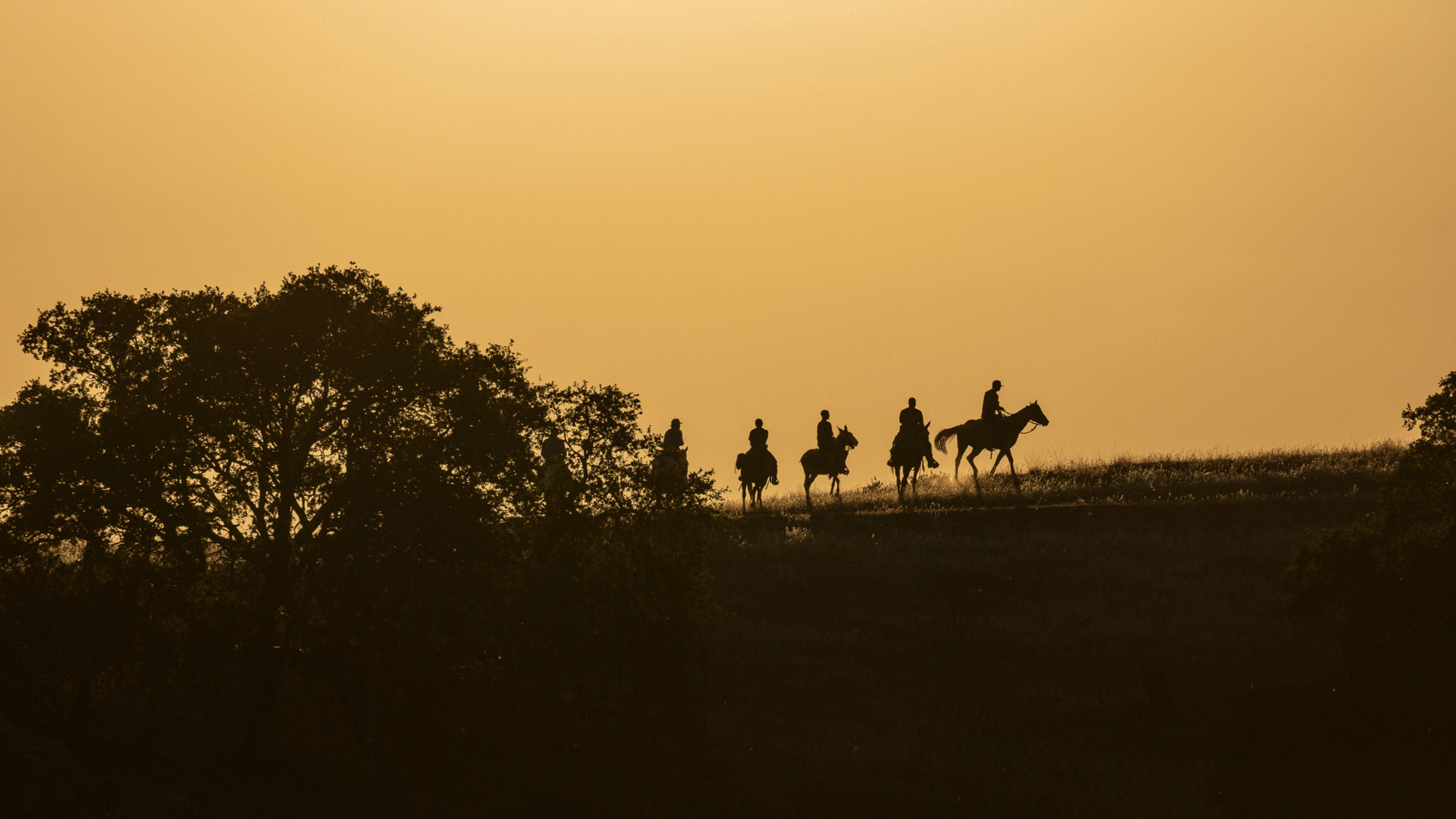 A Place of Peace | YETI Stories