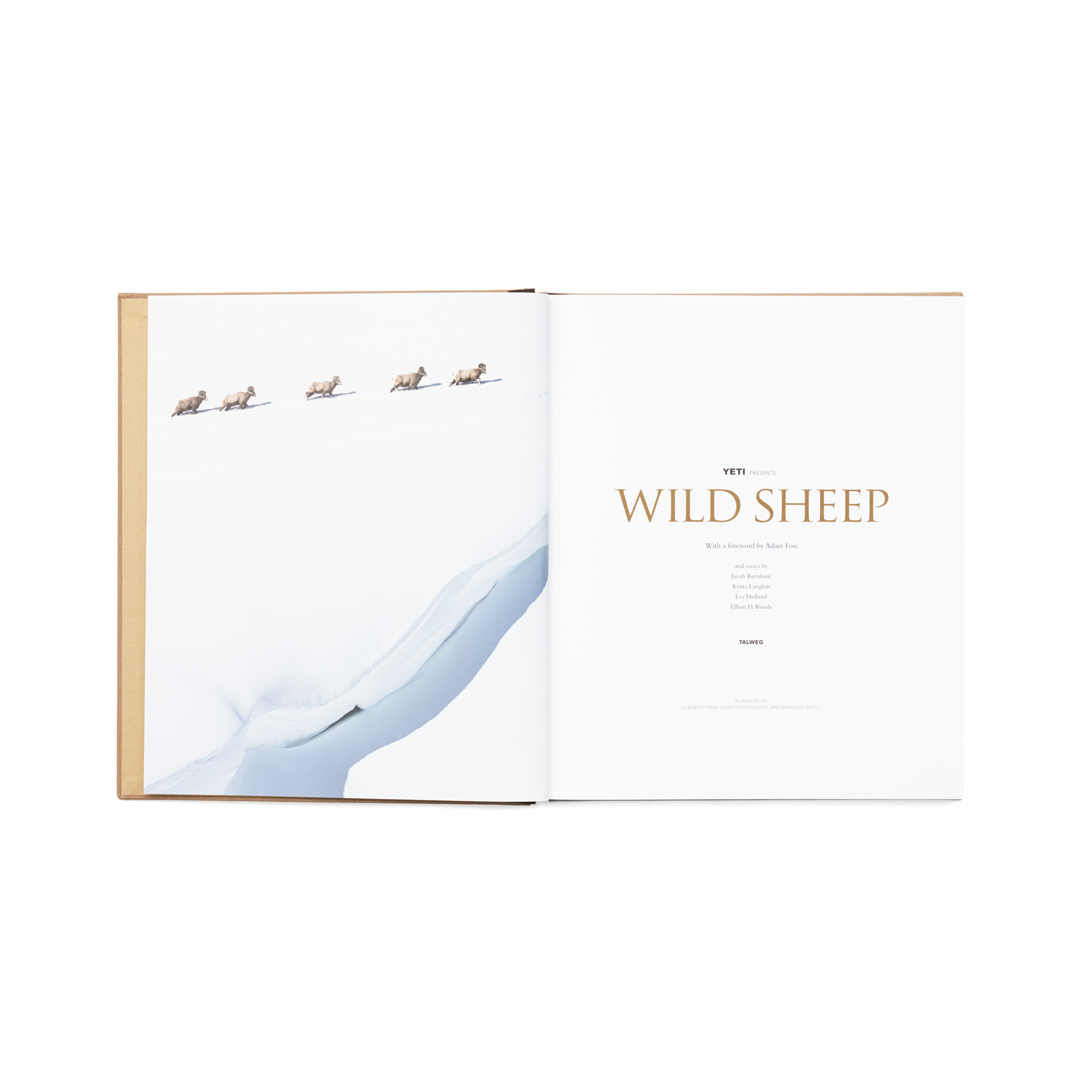 YETI Presents: Wild Sheep Coffee Table Book