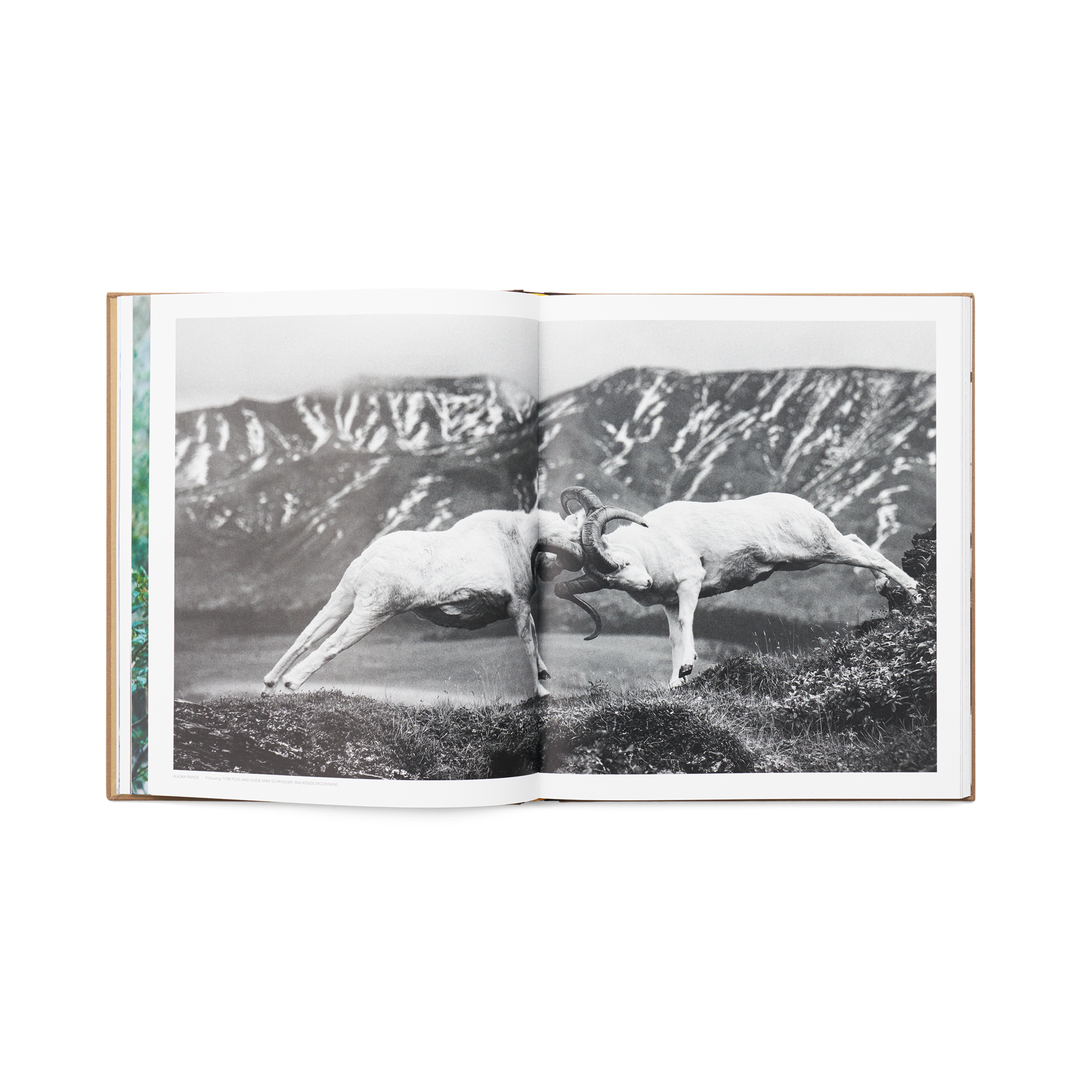 YETI Presents: Wild Sheep Coffee Table Book